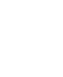 Conference Flags Hanging - Proprint