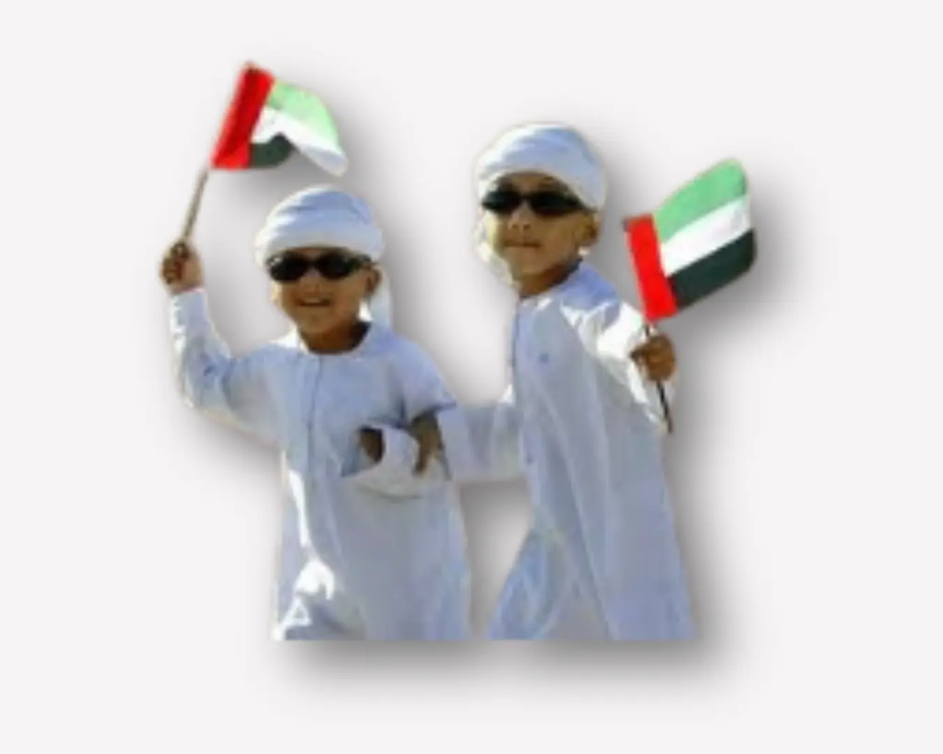 Hand Flags - Proprint